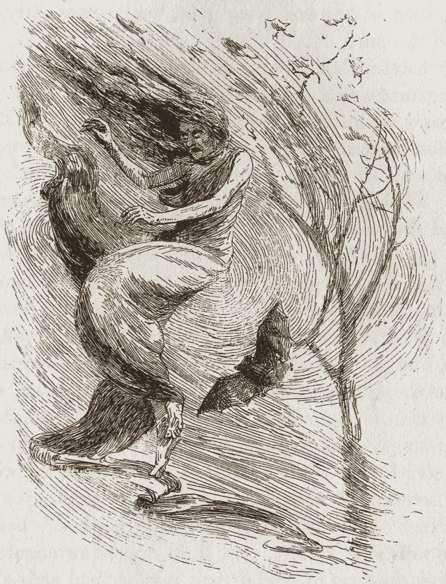 Banshees – Bone and Sickle